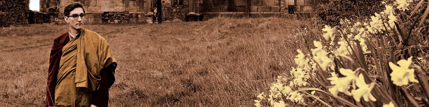 Moving Against the Stream: The Birth of a New Buddhist Movement | free ...